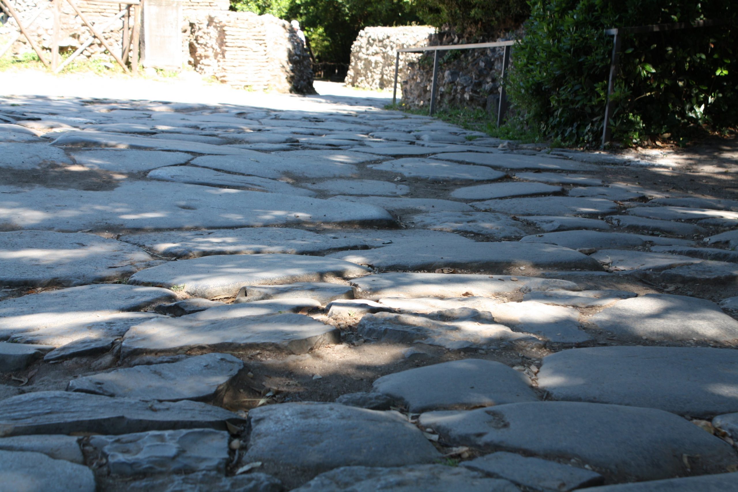 Colosseum and Ancient Rome Private Tour - Europe Odyssey Tour